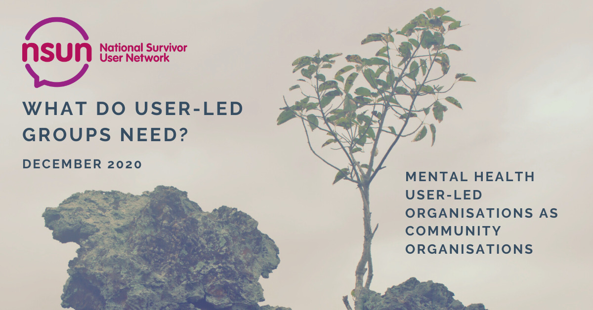 What Do User-Led Groups Need? (2020) - NSUN website