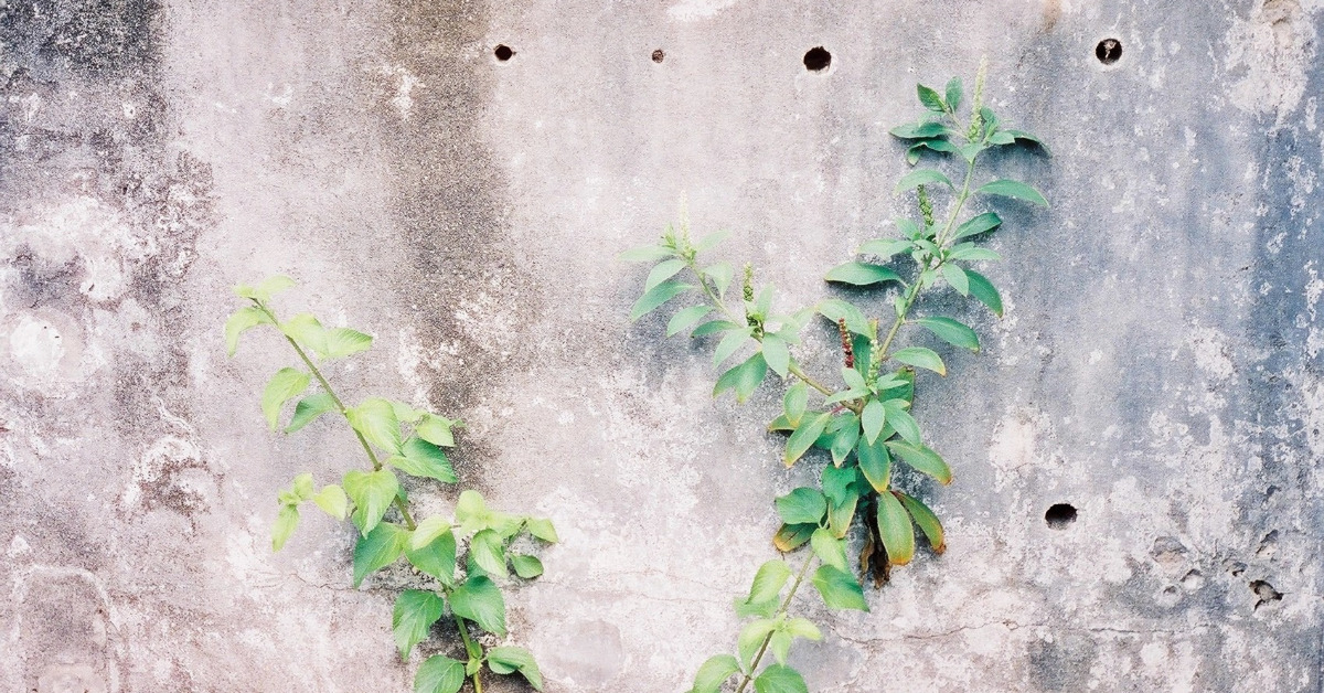 'Being with' not 'doing to': violence, harm, and police involvement in ...