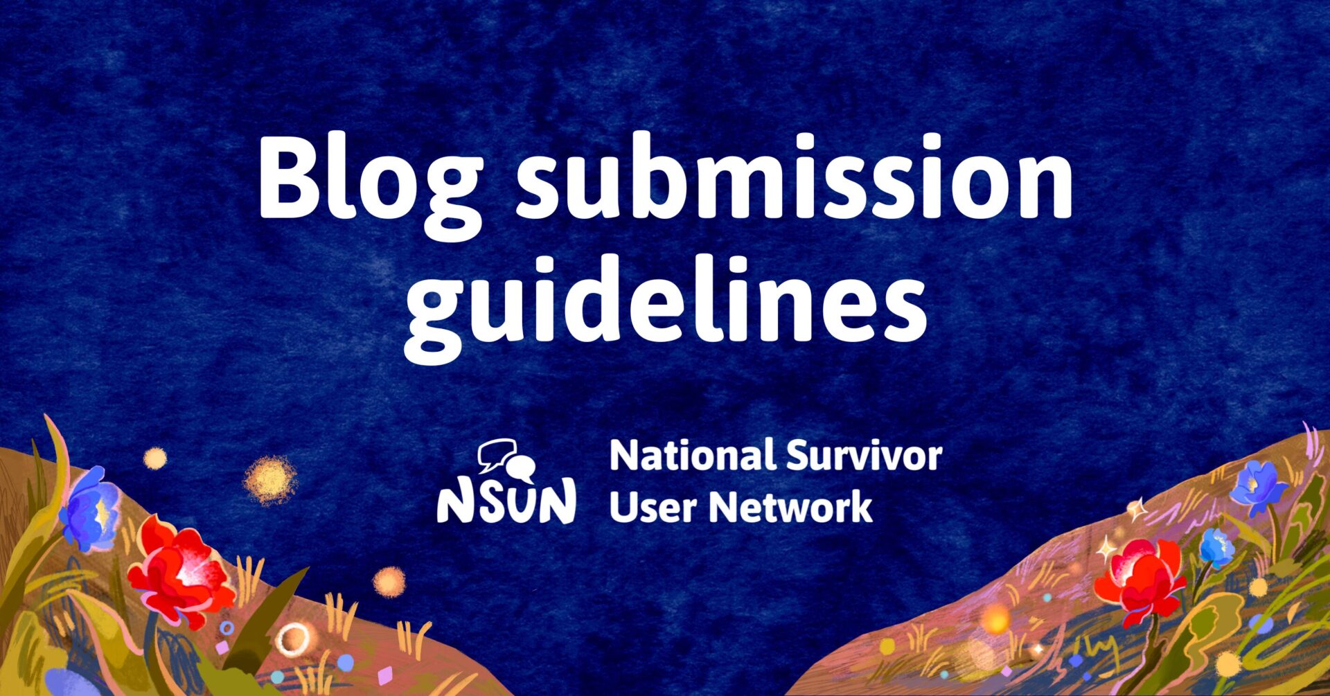 Blog Submission Guidelines - NSUN website